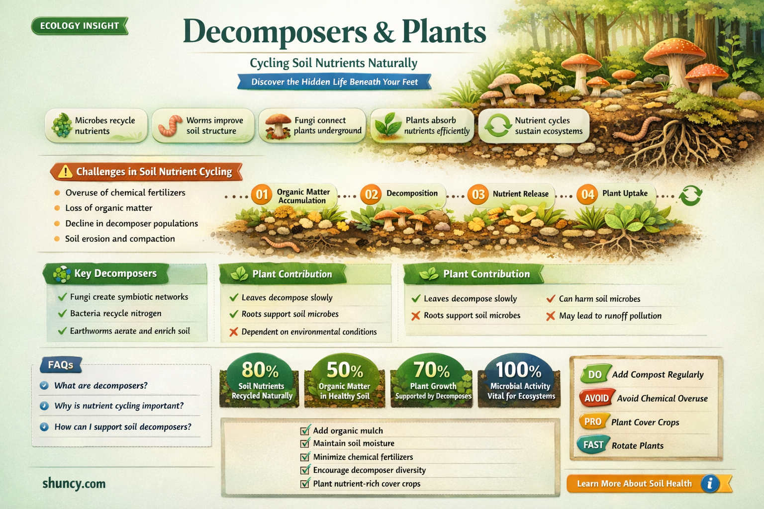 Decomposers And Plants: Cycling Soil Nutrients | ShunCy