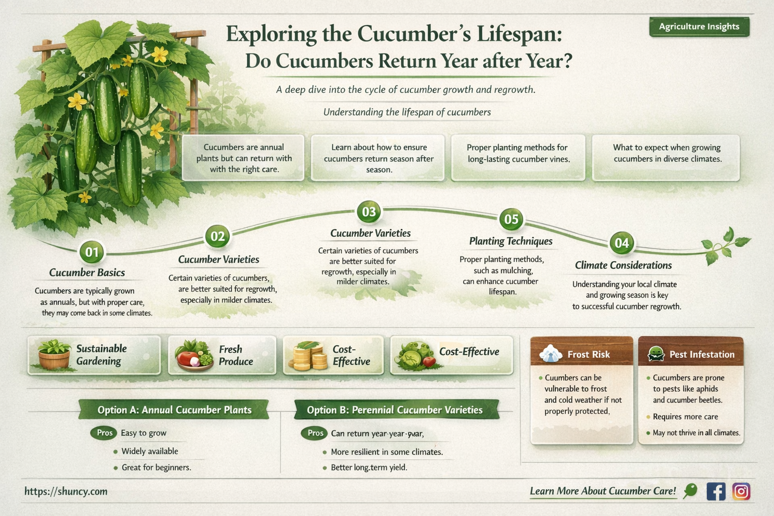 Exploring The Cucumber's Lifespan: Do Cucumbers Return Year After Year ...