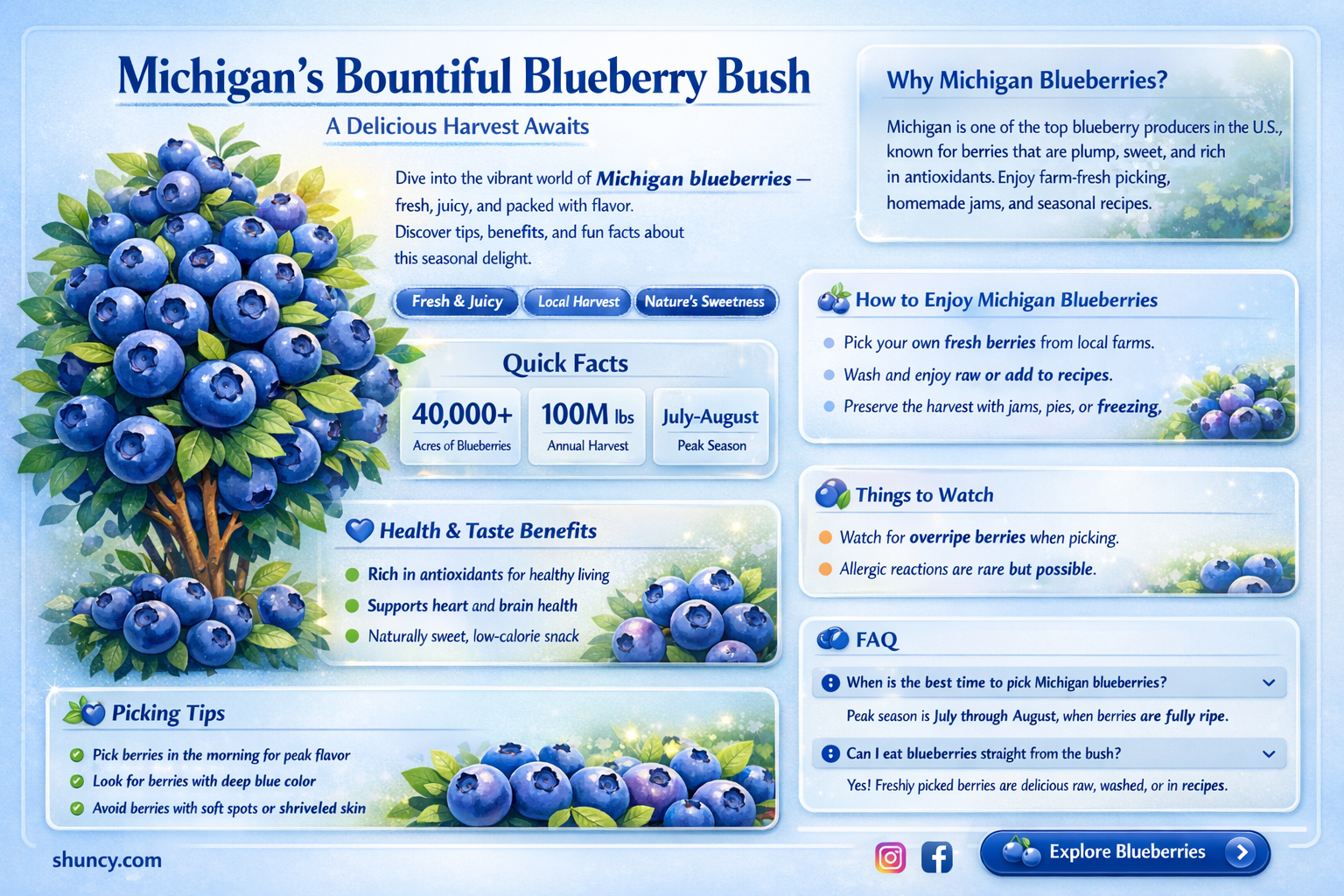 Michigan's Bountiful Blueberry Bush: A Delicious Harvest Awaits | ShunCy