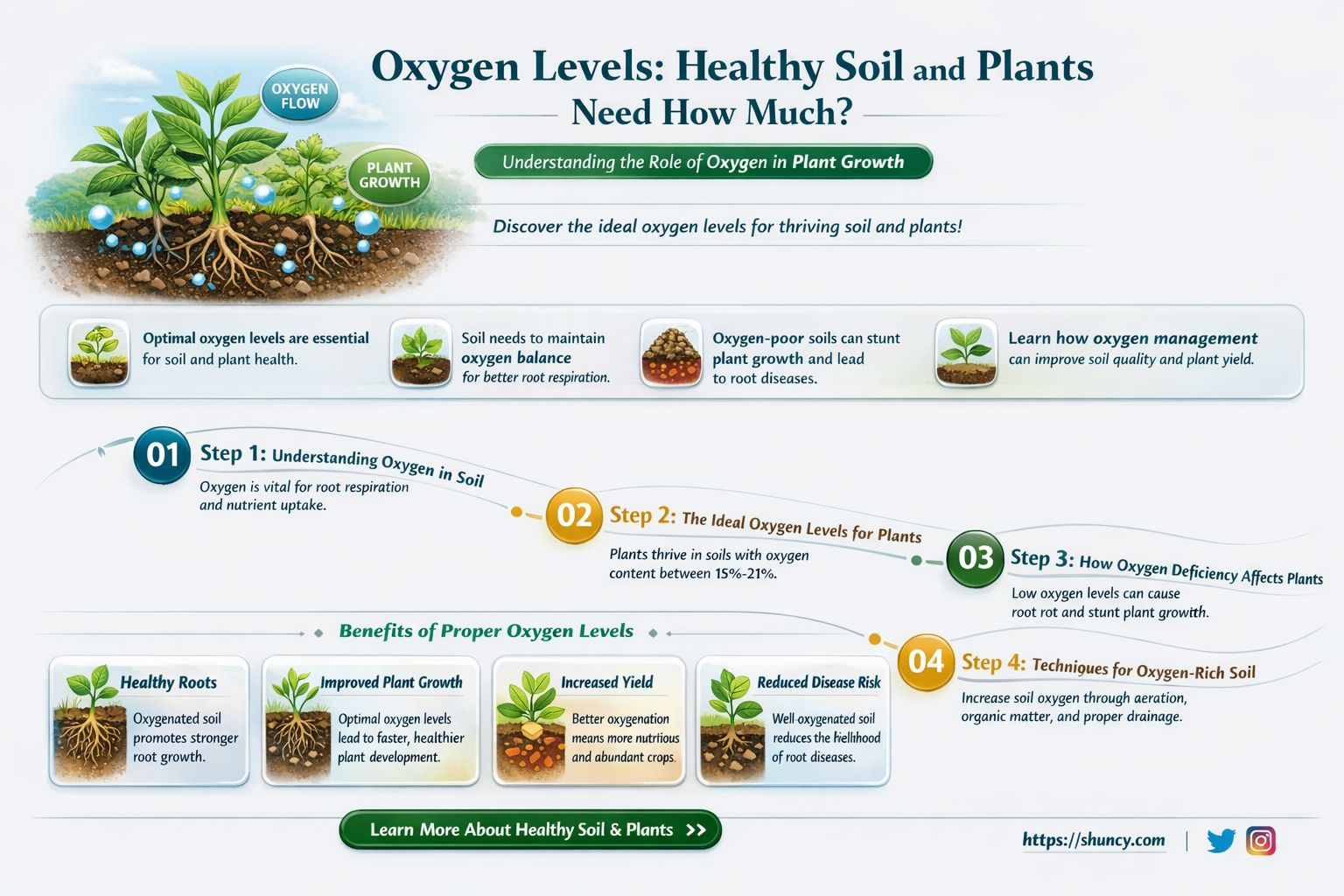 Oxygen Levels: Healthy Soil And Plants Need How Much? | ShunCy