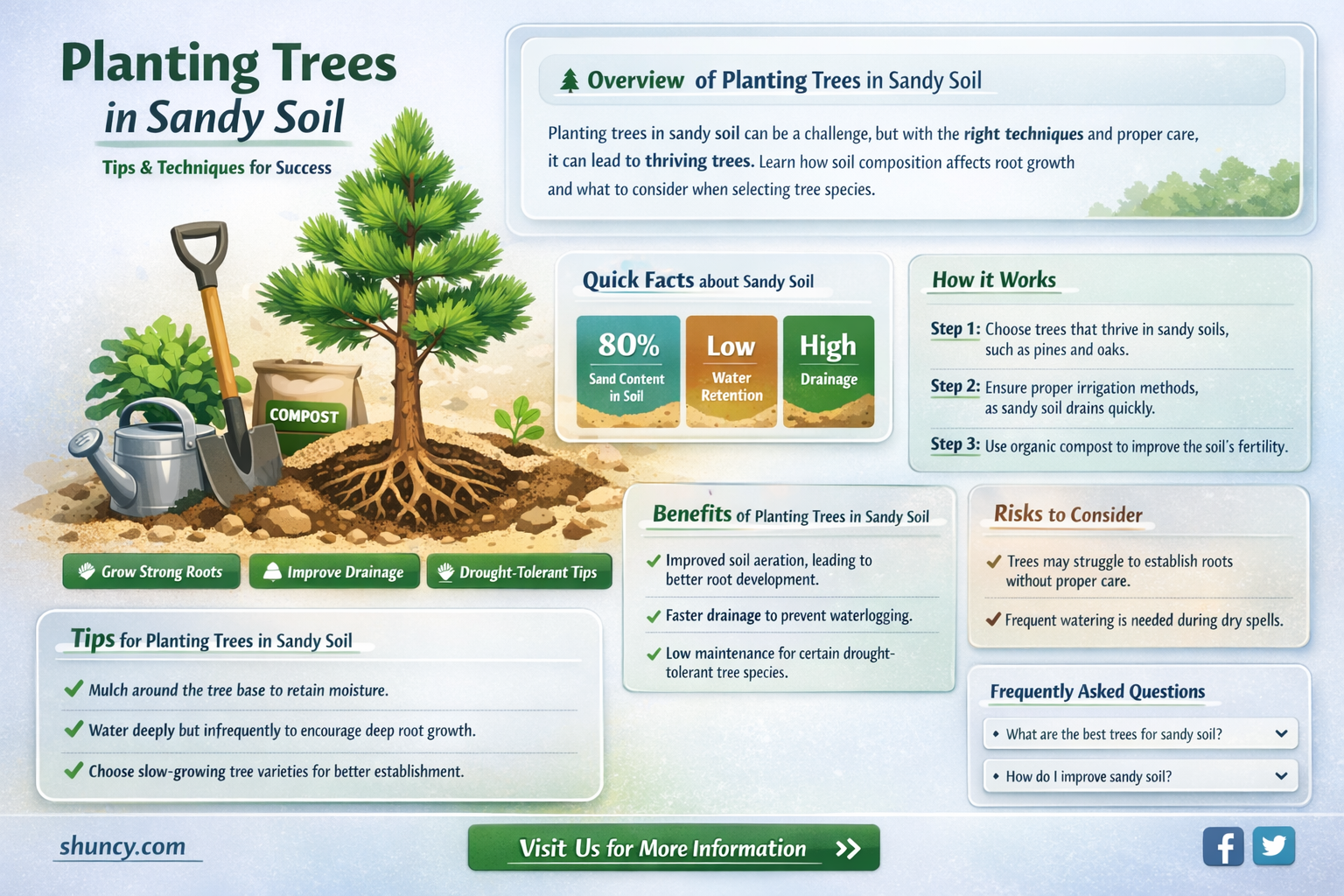 Planting Trees In Sandy Soil: A Comprehensive Guide | ShunCy