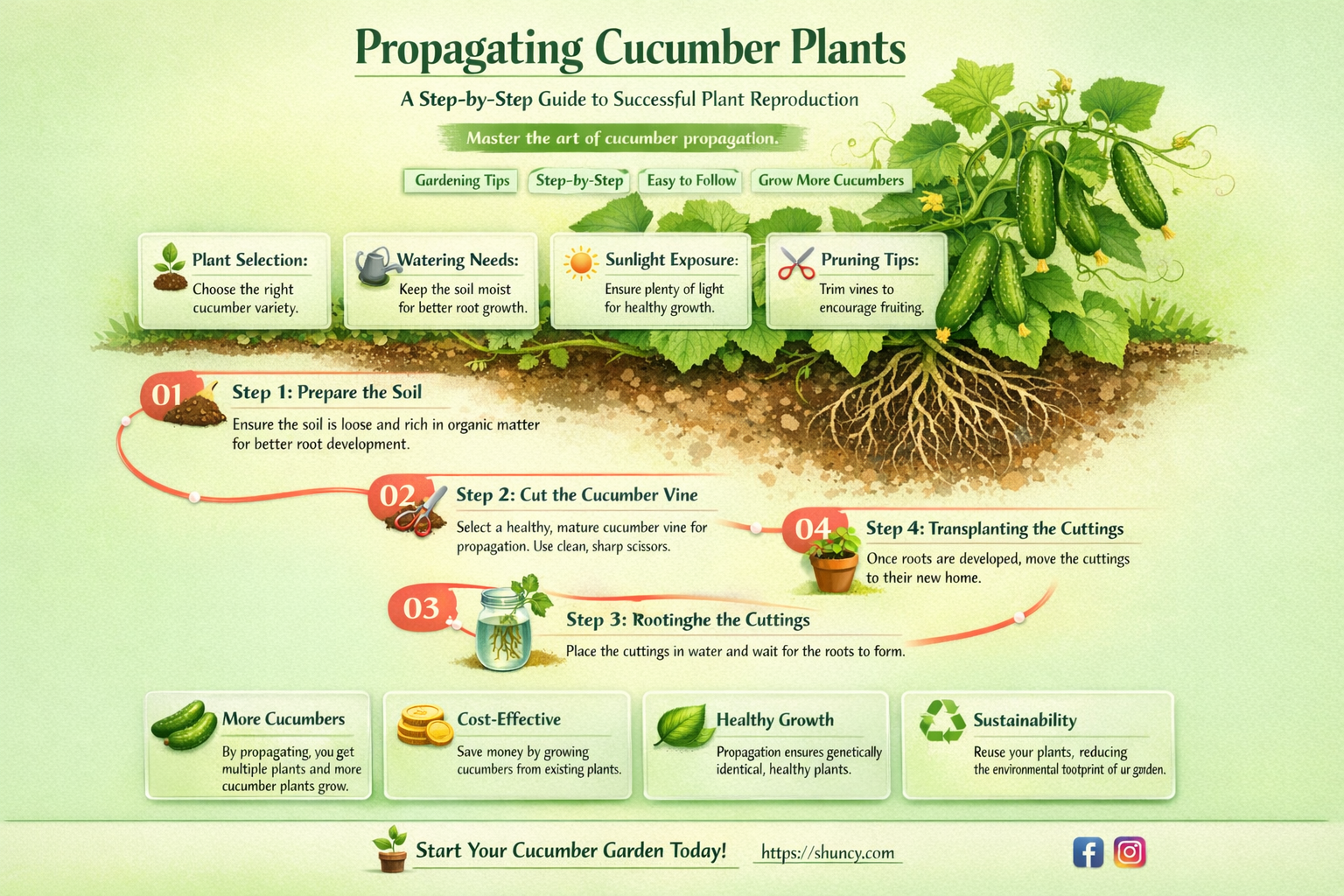 Propagating Cucumber Plants: A Step-By-Step Guide To Successful Plant ...