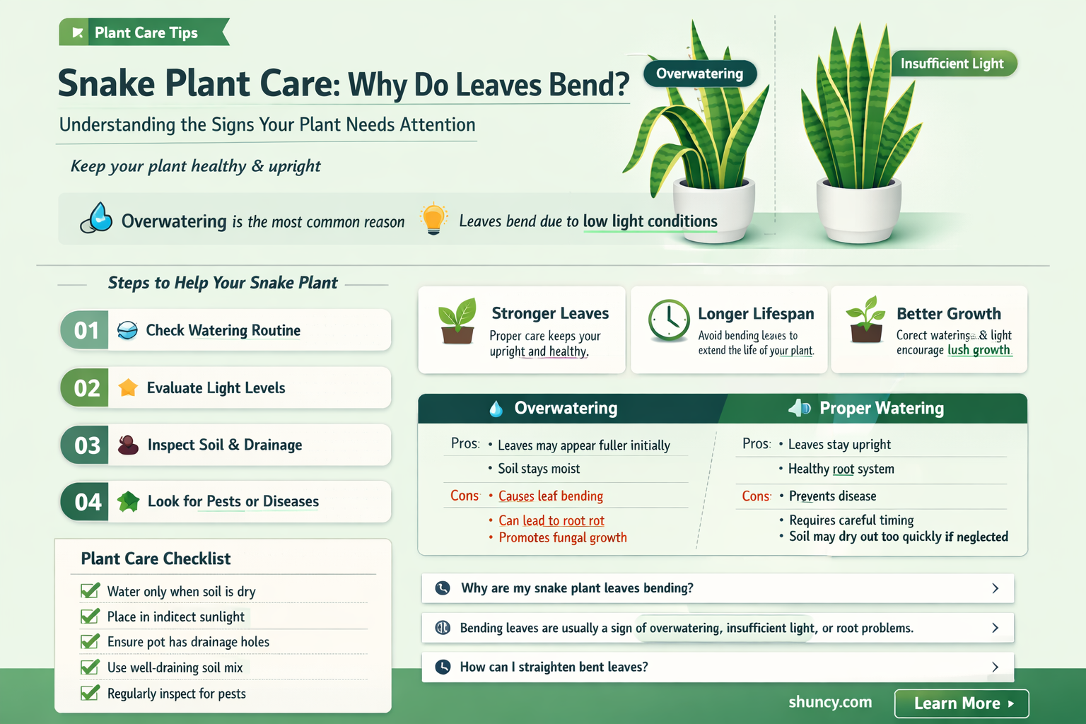 Snake Plant Care: Why Do Leaves Bend? | ShunCy