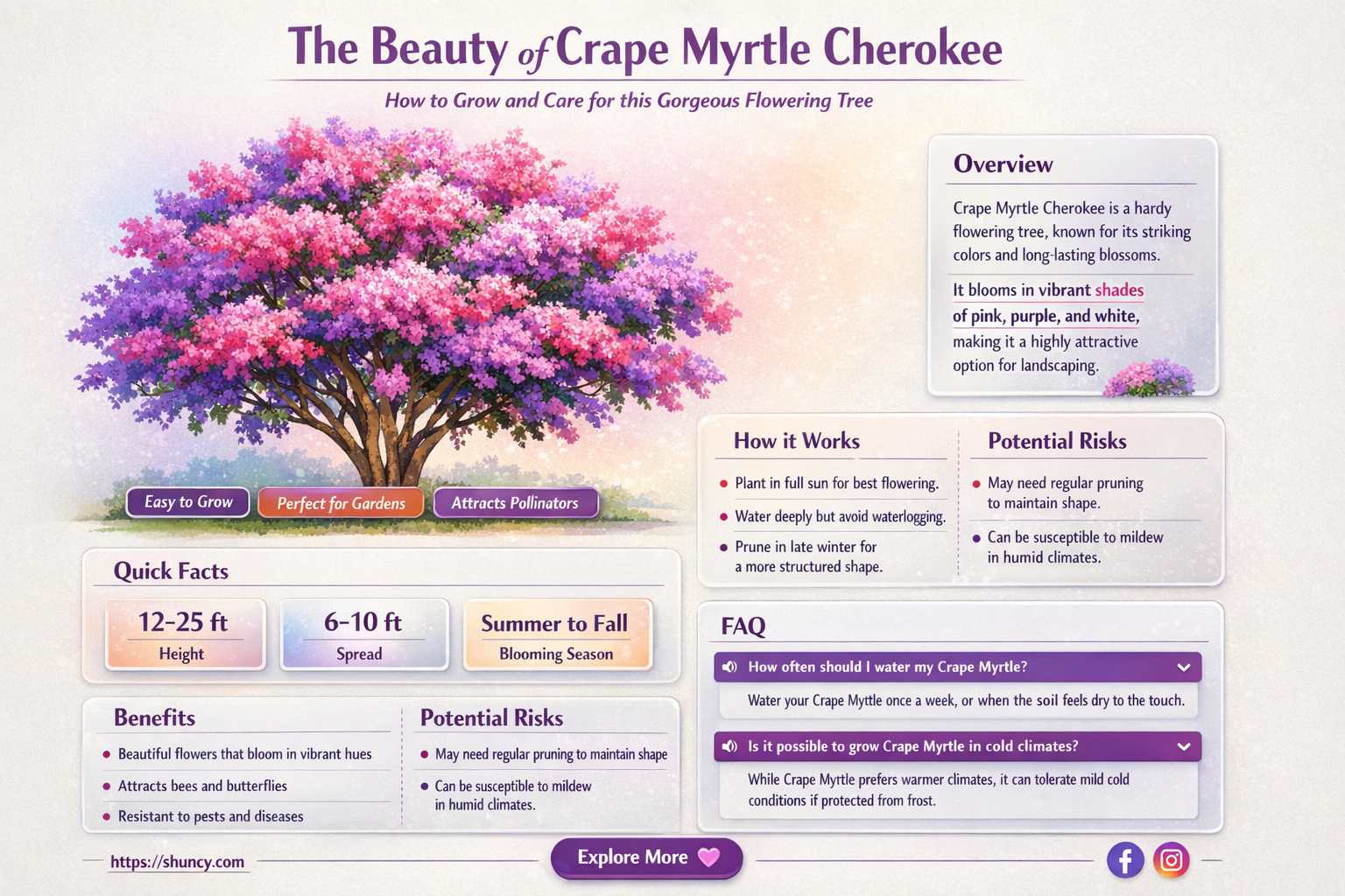 The Beauty Of Crape Myrtle Cherokee: How To Grow And Care For This ...