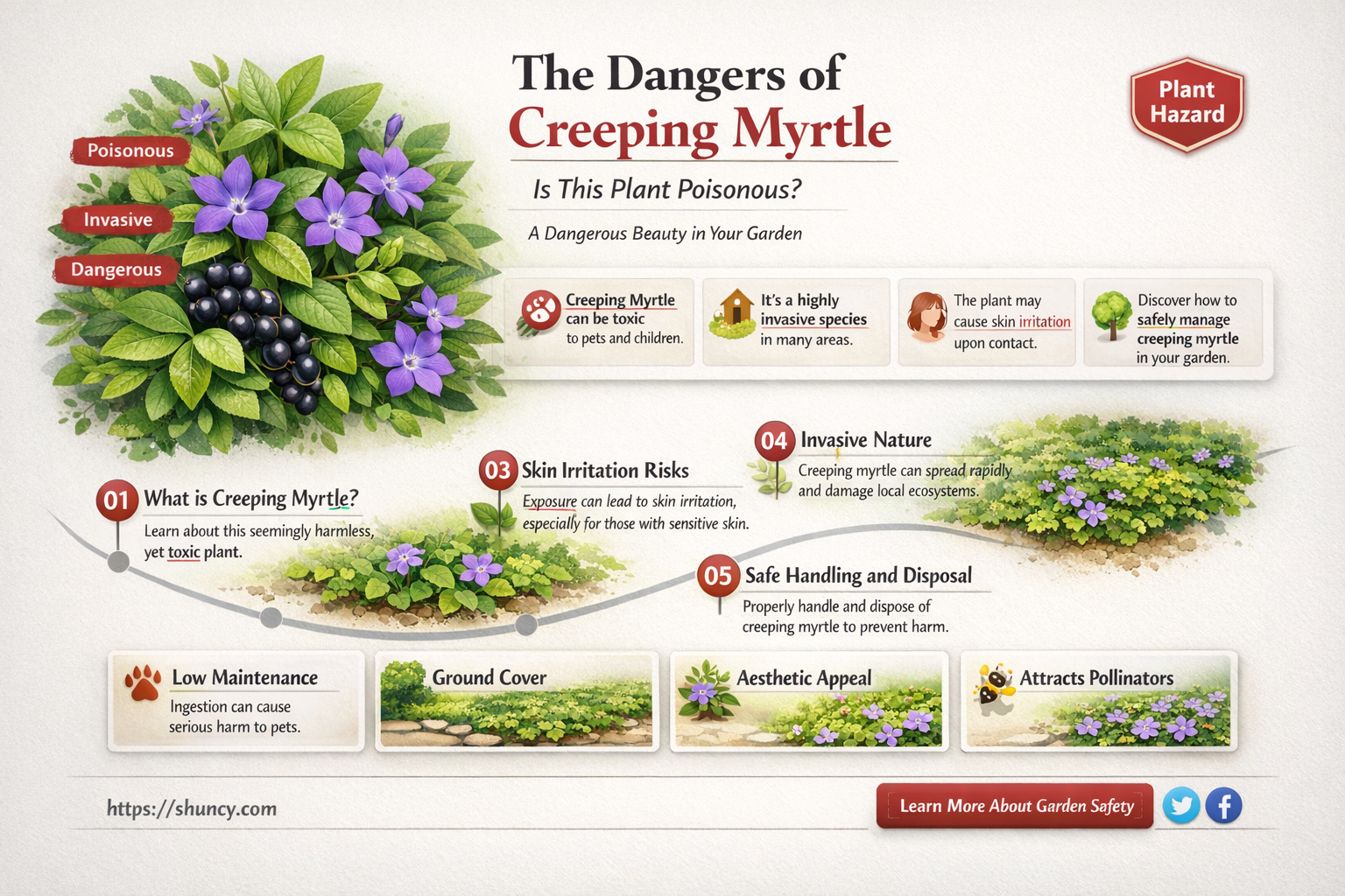 The Dangers Of Creeping Myrtle: Is This Plant Poisonous? | ShunCy