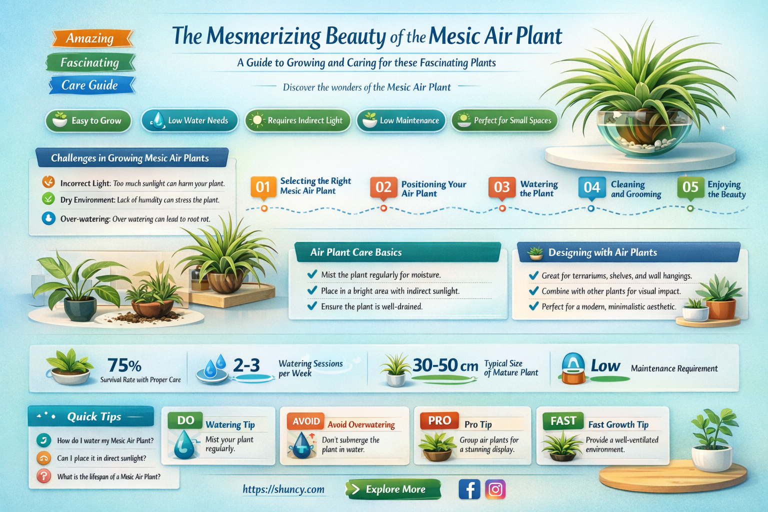 The Mesmerizing Beauty Of The Mesic Air Plant: A Guide To Growing And ...