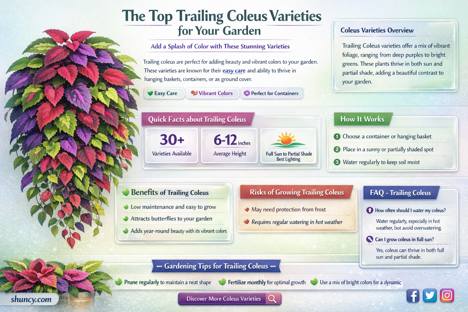 The Top Trailing Coleus Varieties For Your Garden | ShunCy