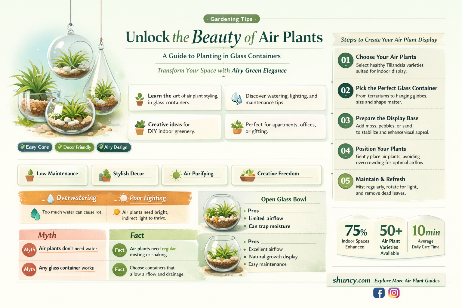 Unlock The Beauty Of Air Plants: A Guide To Planting In Glass ...