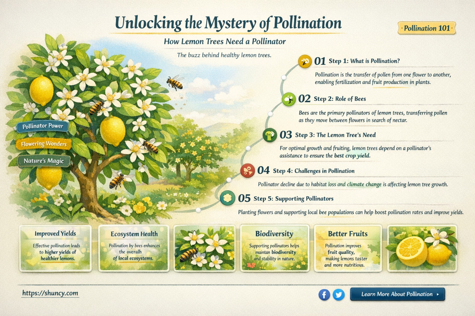 Unlocking The Mystery Of Pollination: How Lemon Trees Need A Pollinator ...