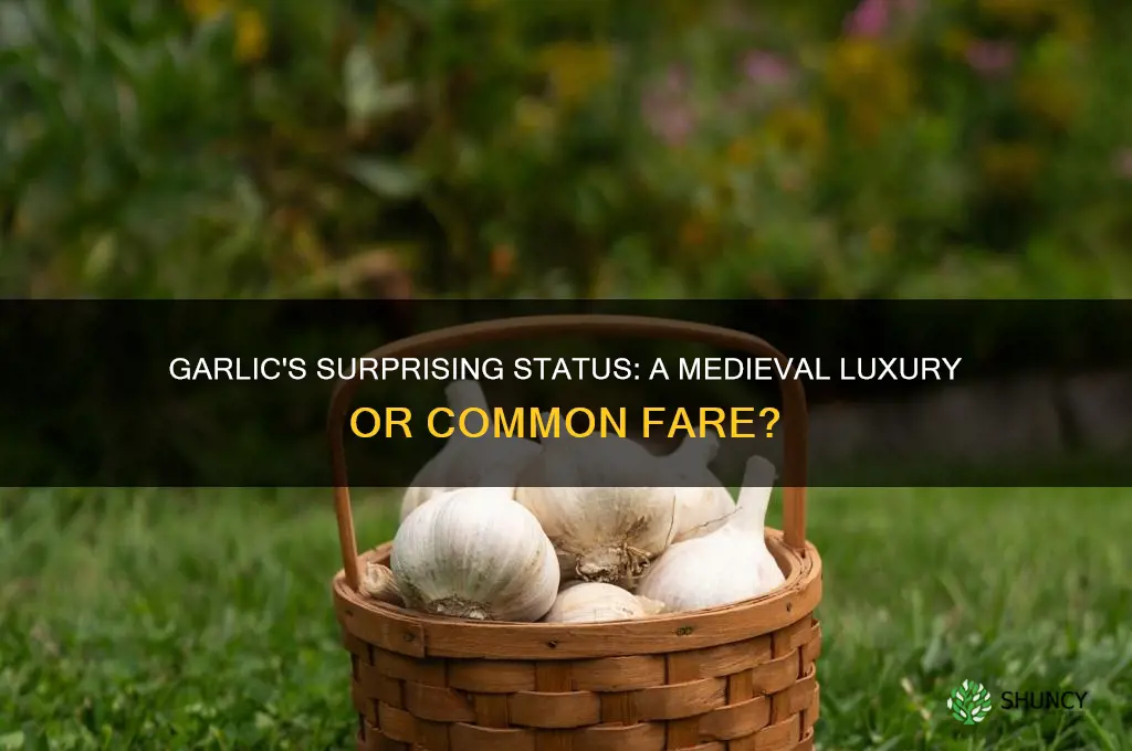 Garlic's Surprising Status: A Medieval Luxury Or Common Fare? | ShunCy