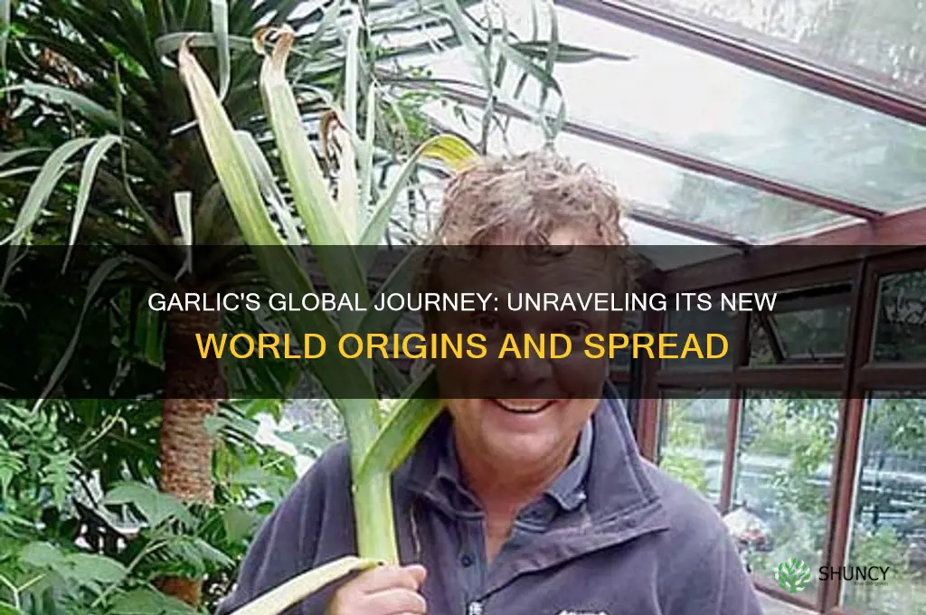 Garlic's Global Journey: Unraveling Its New World Origins And Spread ...