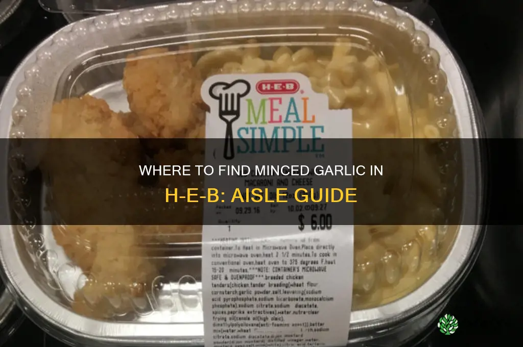 Where To Find Minced Garlic In H-E-B: Aisle Guide | ShunCy