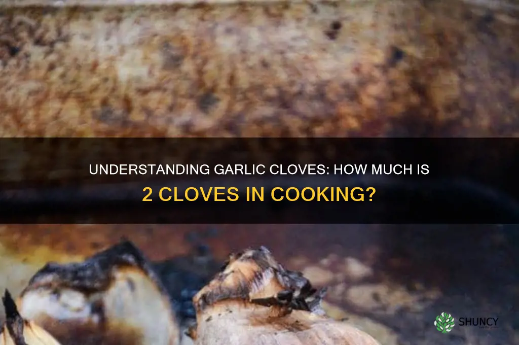 Understanding Garlic Cloves: How Much Is 2 Cloves In Cooking? | ShunCy