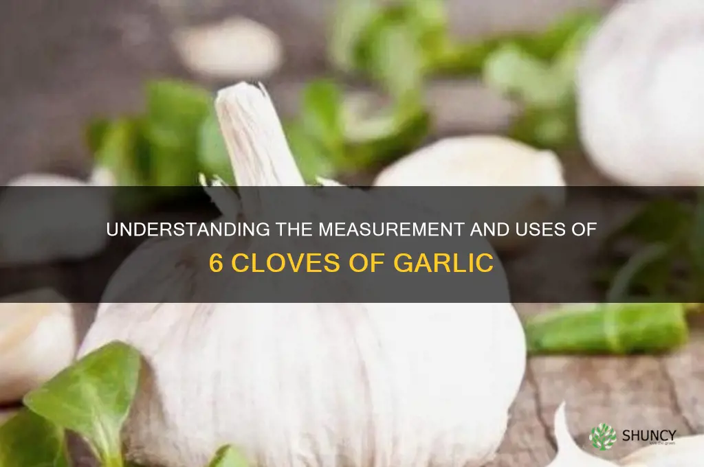 Understanding The Measurement And Uses Of 6 Cloves Of Garlic | ShunCy