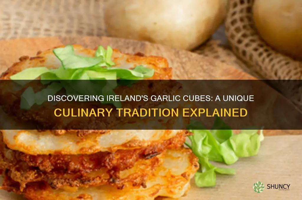 Discovering Ireland's Garlic Cubes: A Unique Culinary Tradition ...