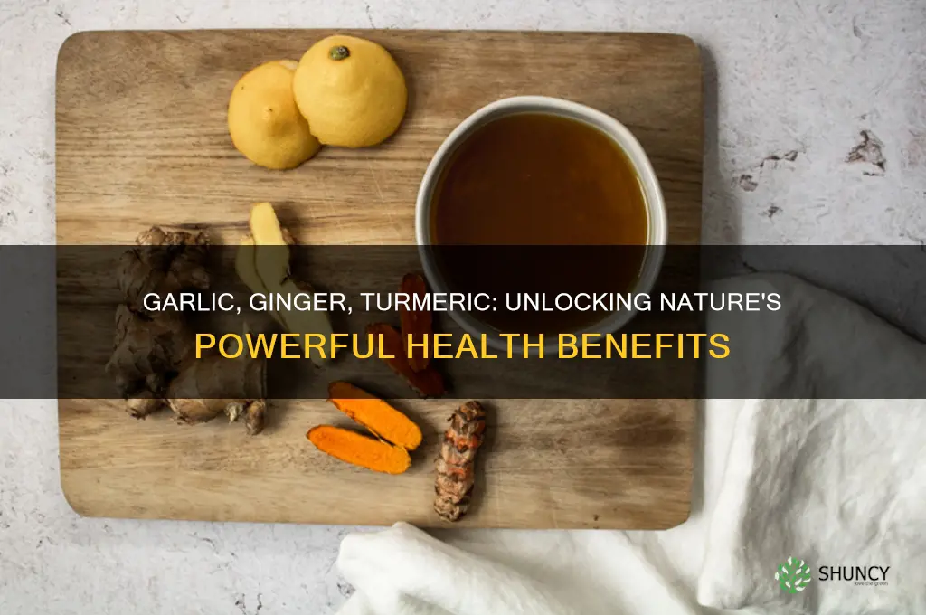 Garlic, Ginger, Turmeric: Unlocking Nature's Powerful Health Benefits ...