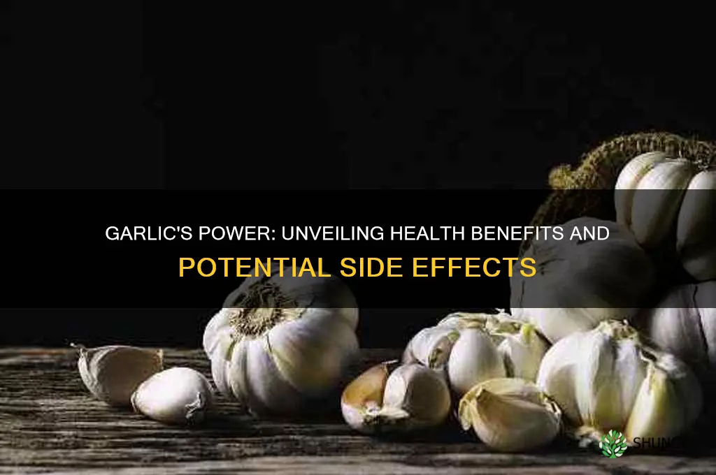 Garlic's Power: Unveiling Health Benefits And Potential Side Effects ...