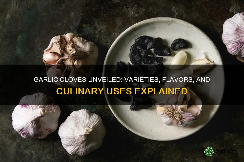 Garlic Cloves Unveiled: Varieties, Flavors, And Culinary Uses Explained ...