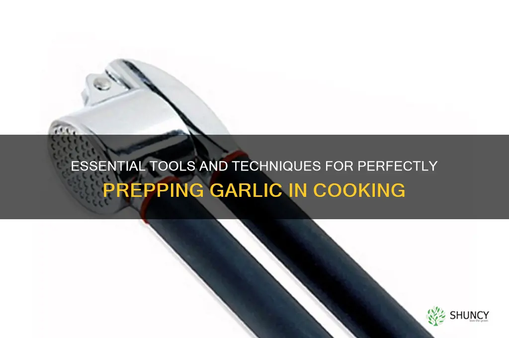 Essential Tools And Techniques For Perfectly Prepping Garlic In Cooking ...