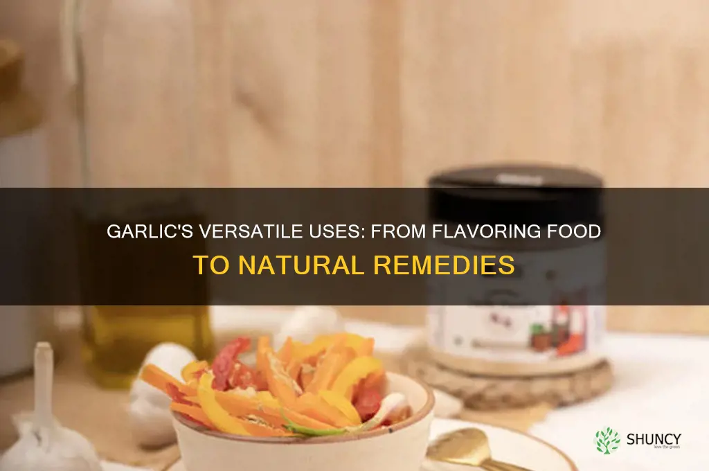 Garlic's Versatile Uses: From Flavoring Food To Natural Remedies | ShunCy