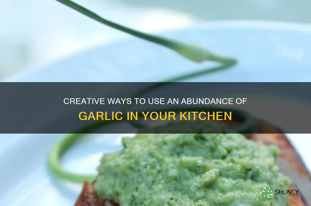 Creative Ways To Use An Abundance Of Garlic In Your Kitchen | ShunCy