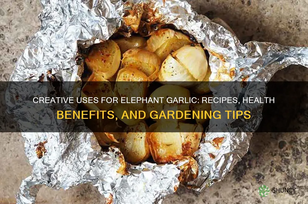 Creative Uses For Elephant Garlic: Recipes, Health Benefits, And ...