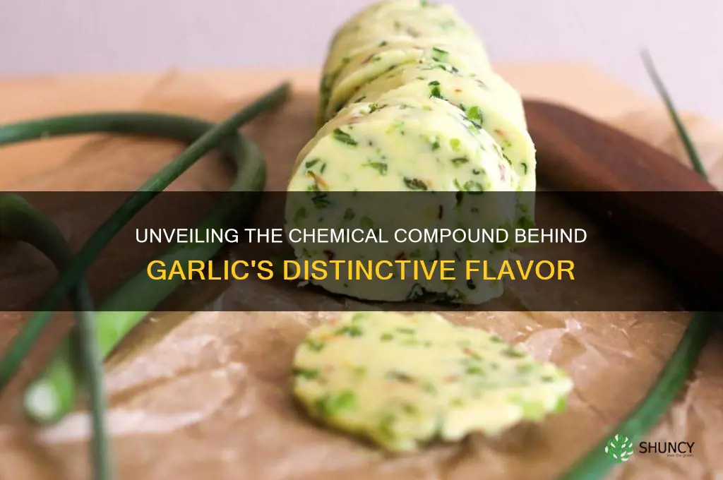 Unveiling The Chemical Compound Behind Garlic's Distinctive Flavor | ShunCy