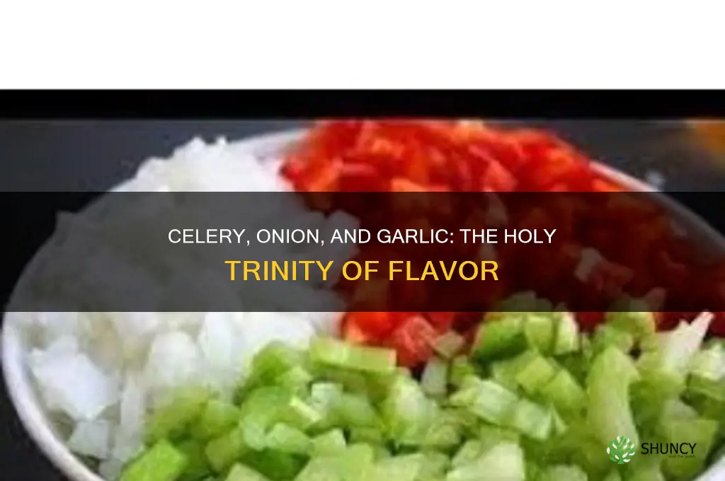 Celery, Onion, And Garlic: The Holy Trinity Of Flavor | ShunCy