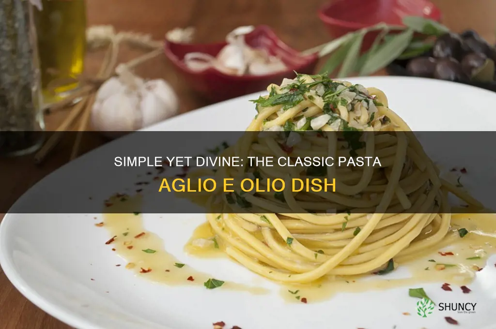 Simple Yet Divine: The Classic Pasta Aglio E Olio Dish | ShunCy