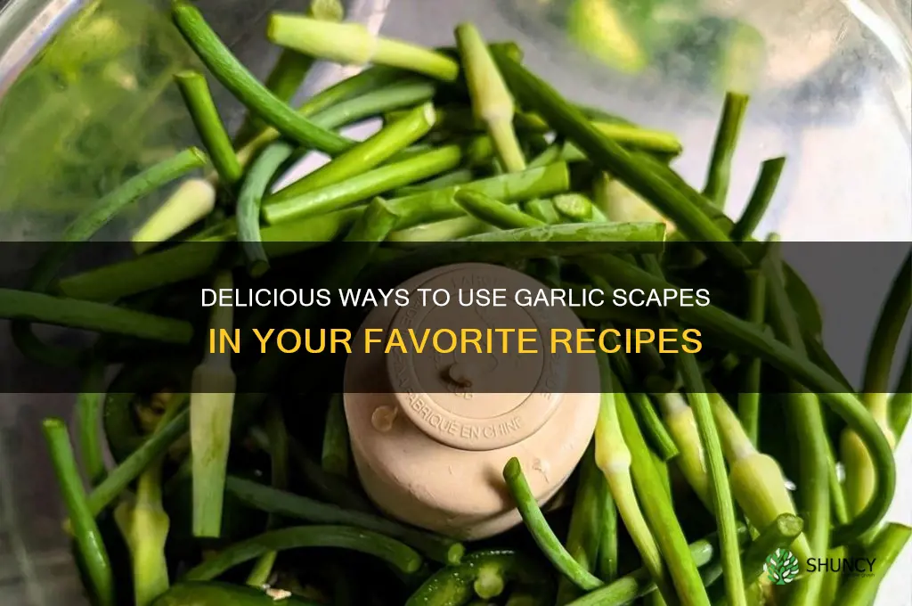 Delicious Ways To Use Garlic Scapes In Your Favorite Recipes | ShunCy