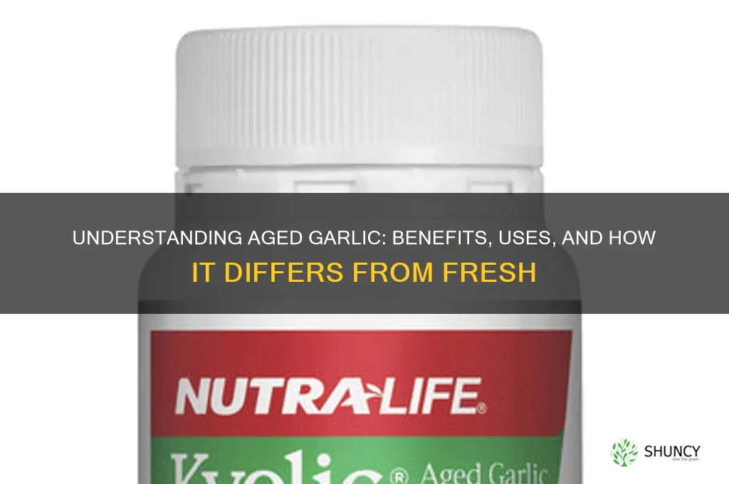 Understanding Aged Garlic: Benefits, Uses, And How It Differs From ...