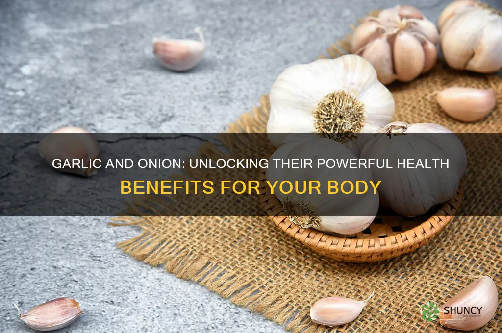 Garlic And Onion: Unlocking Their Powerful Health Benefits For Your ...
