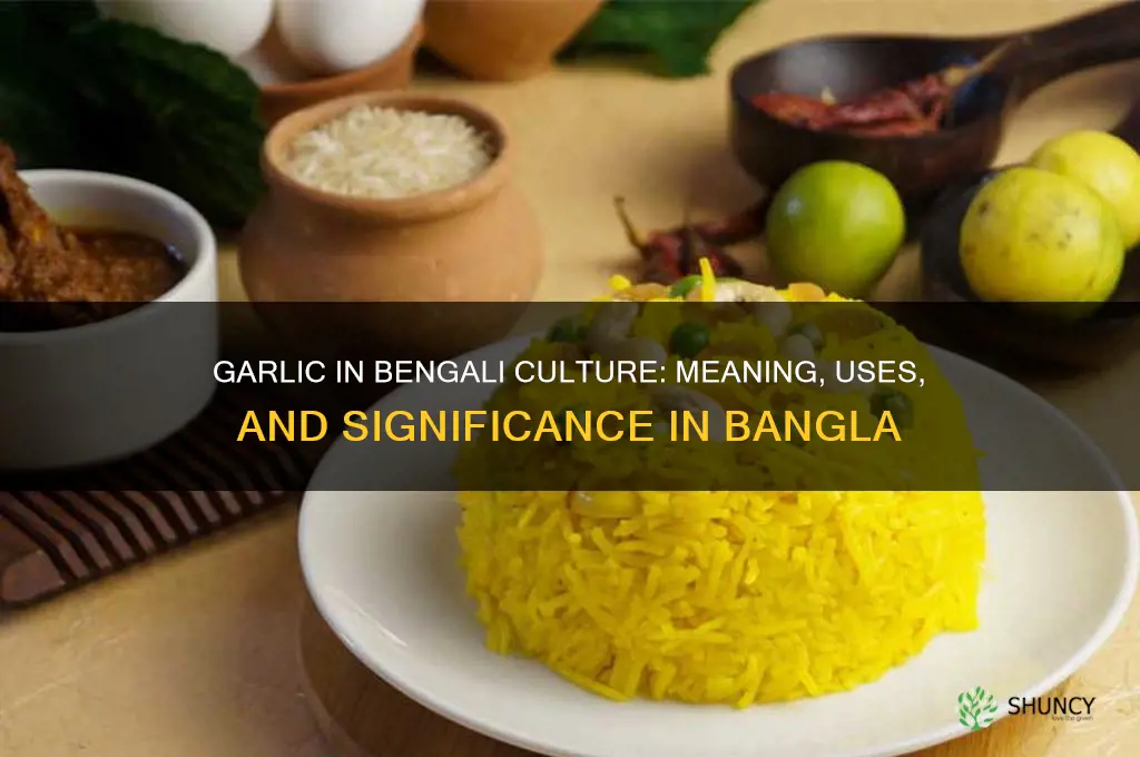 Garlic In Bengali Culture: Meaning, Uses, And Significance In Bangla ...