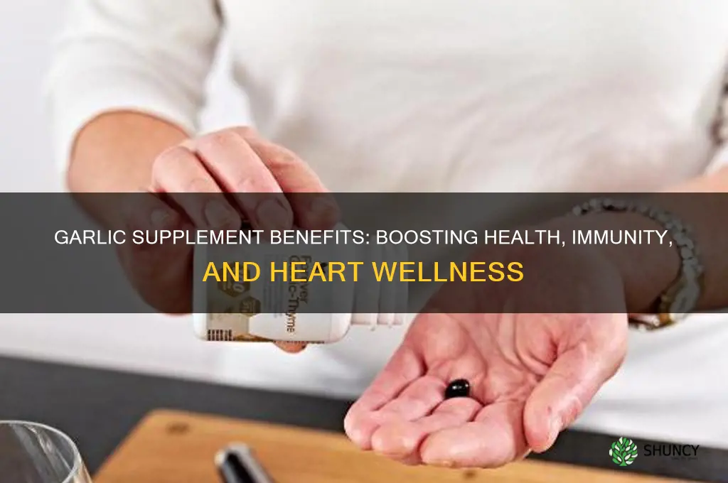 Garlic Supplement Benefits: Boosting Health, Immunity, And Heart ...