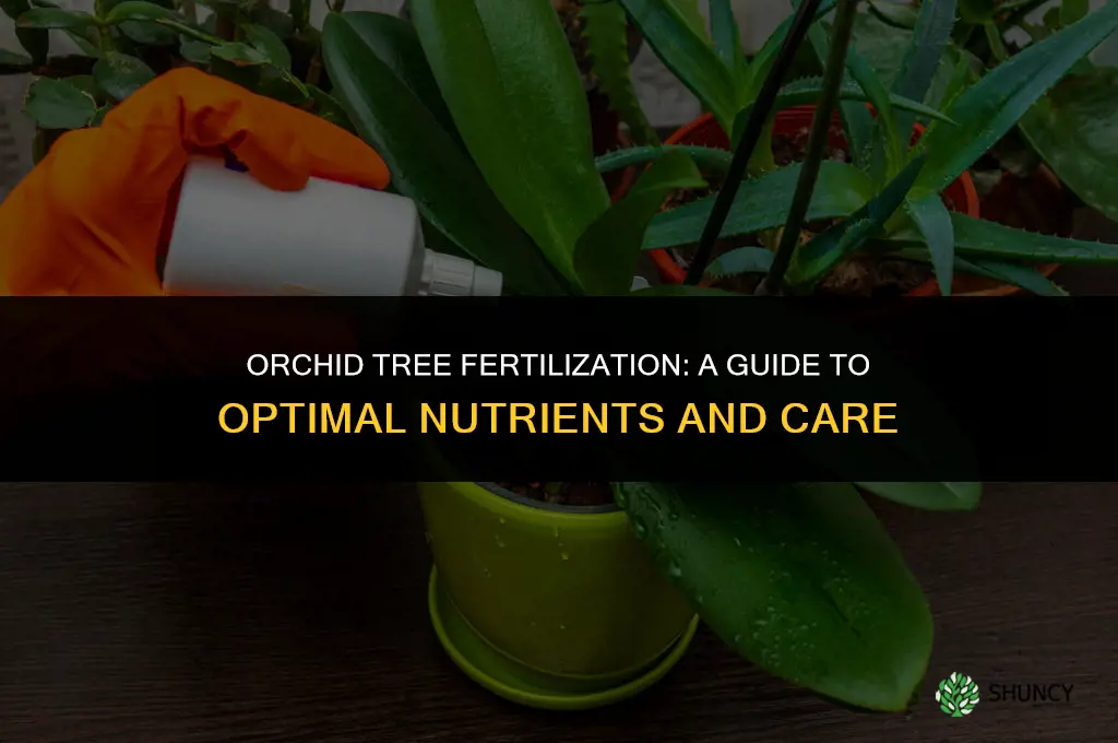 Orchid Tree Fertilization: A Guide To Optimal Nutrients And Care | ShunCy