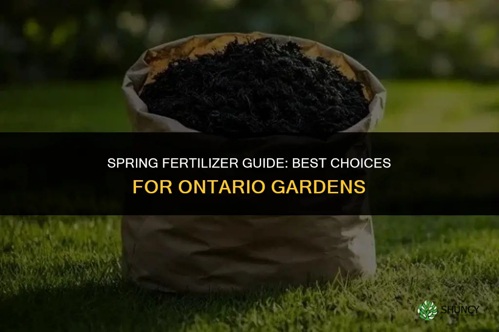 Spring Fertilizer Guide: Best Choices For Ontario Gardens | ShunCy