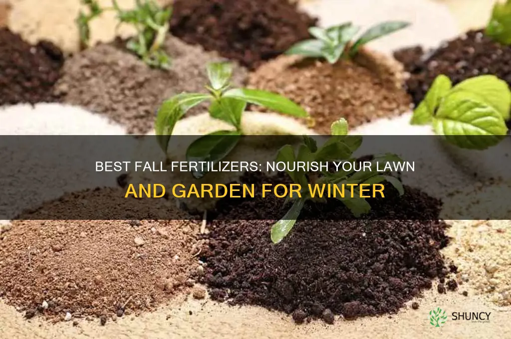 Best Fall Fertilizers: Nourish Your Lawn And Garden For Winter | ShunCy