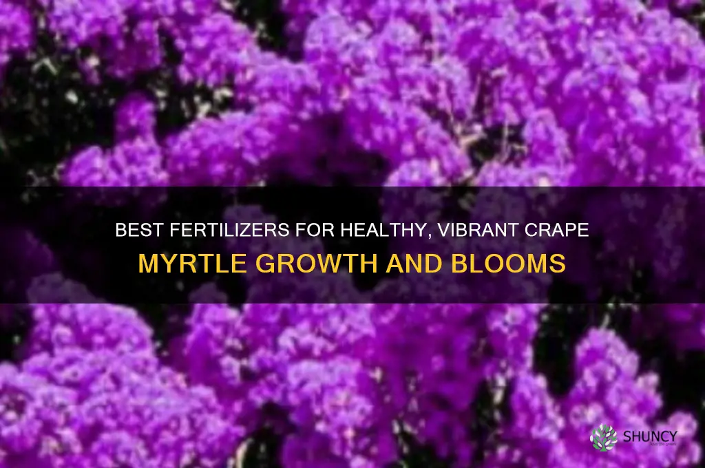 Best Fertilizers For Healthy, Vibrant Crape Myrtle Growth And Blooms ...