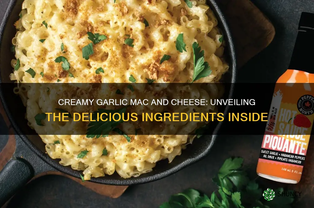 Creamy Garlic Mac And Cheese: Unveiling The Delicious Ingredients ...