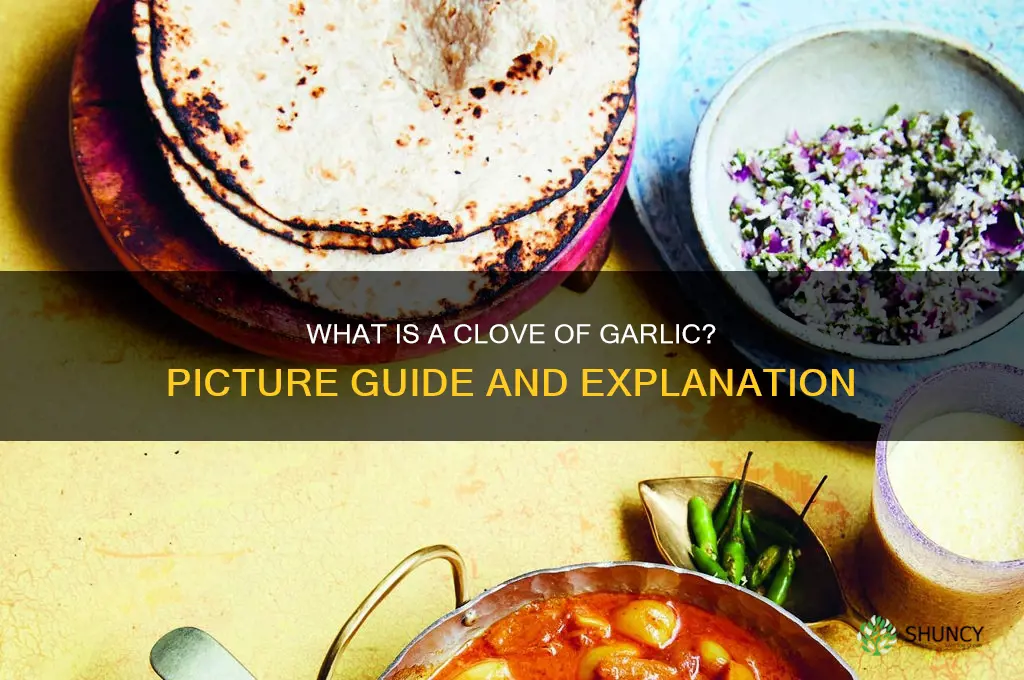 What Is A Clove Of Garlic? Picture Guide And Explanation | ShunCy