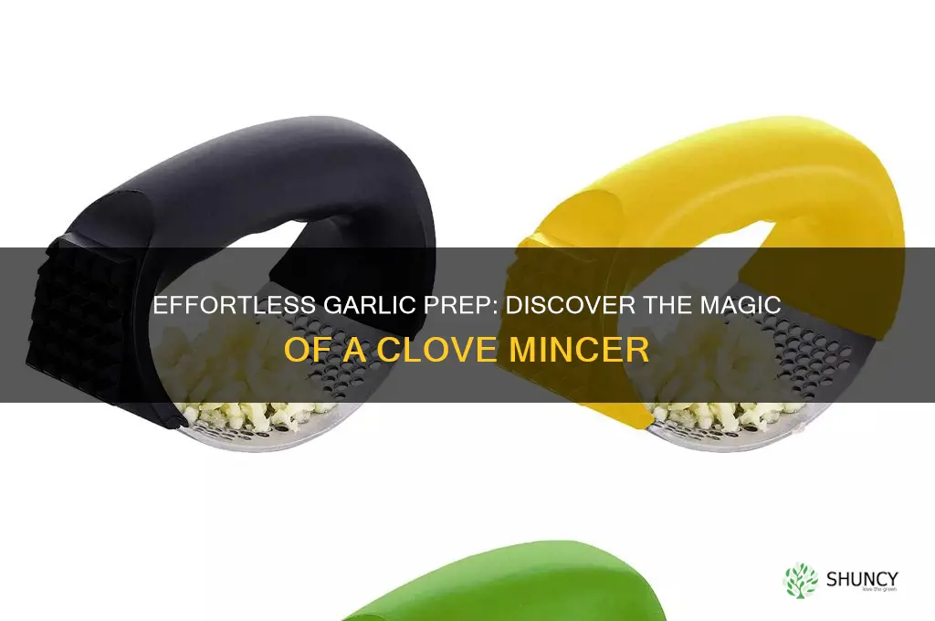 Effortless Garlic Prep: Discover The Magic Of A Clove Mincer | ShunCy