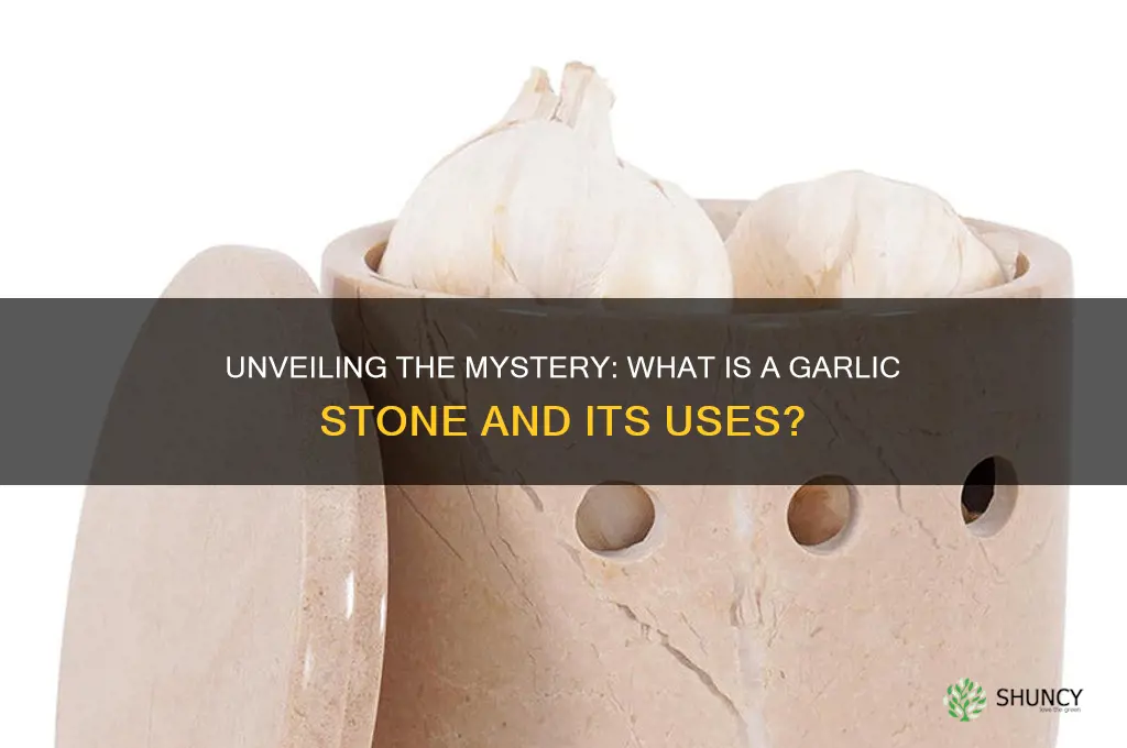 Unveiling The Mystery: What Is A Garlic Stone And Its Uses? | ShunCy