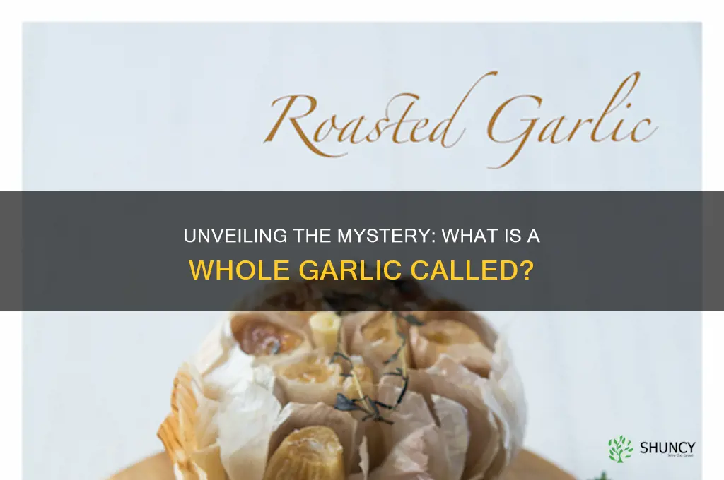 Unveiling The Mystery: What Is A Whole Garlic Called? | ShunCy