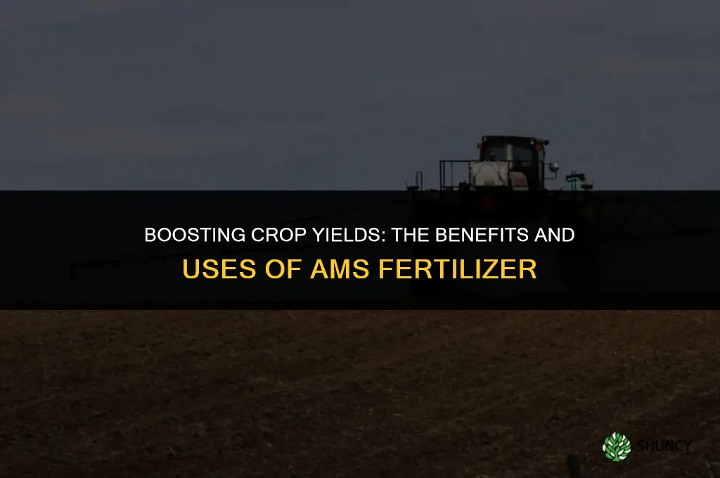 Boosting Crop Yields: The Benefits And Uses Of Ams Fertilizer | ShunCy