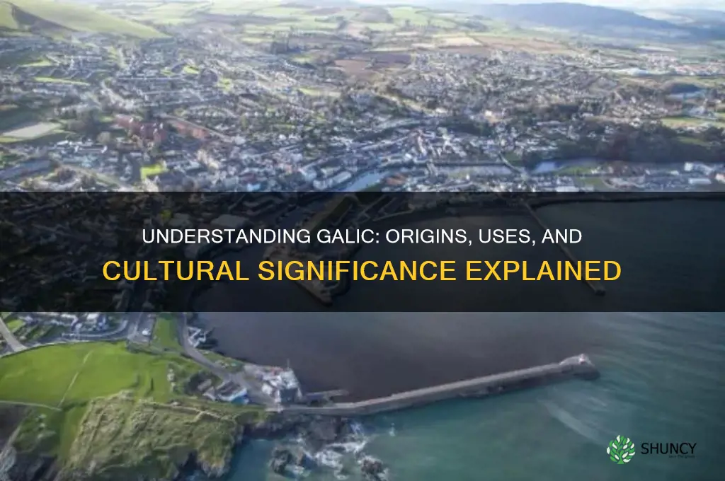 Understanding Galic: Origins, Uses, And Cultural Significance Explained ...