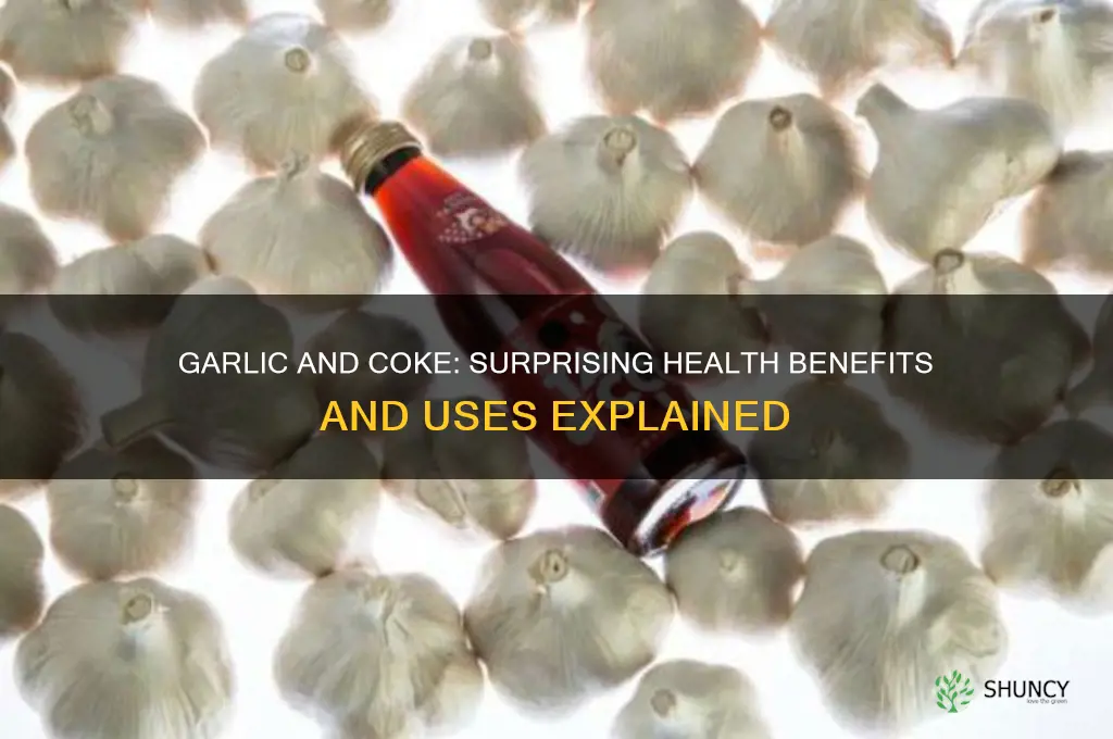 Garlic And Coke: Surprising Health Benefits And Uses Explained | ShunCy