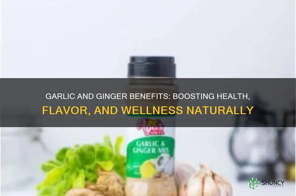 Garlic And Ginger Benefits: Boosting Health, Flavor, And Wellness ...