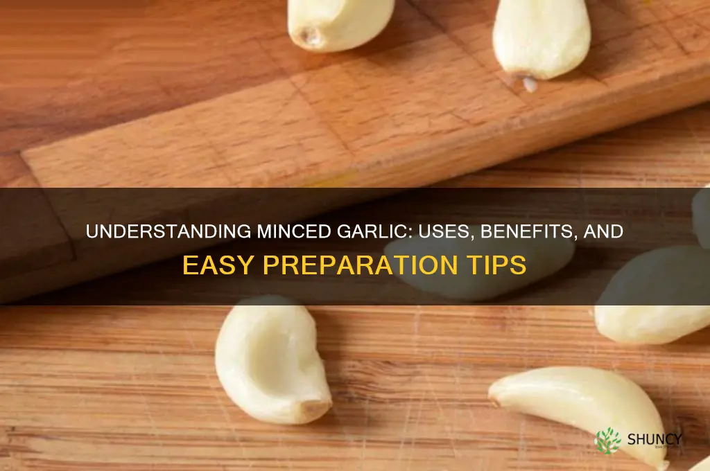 Understanding Minced Garlic: Uses, Benefits, And Easy Preparation Tips ...