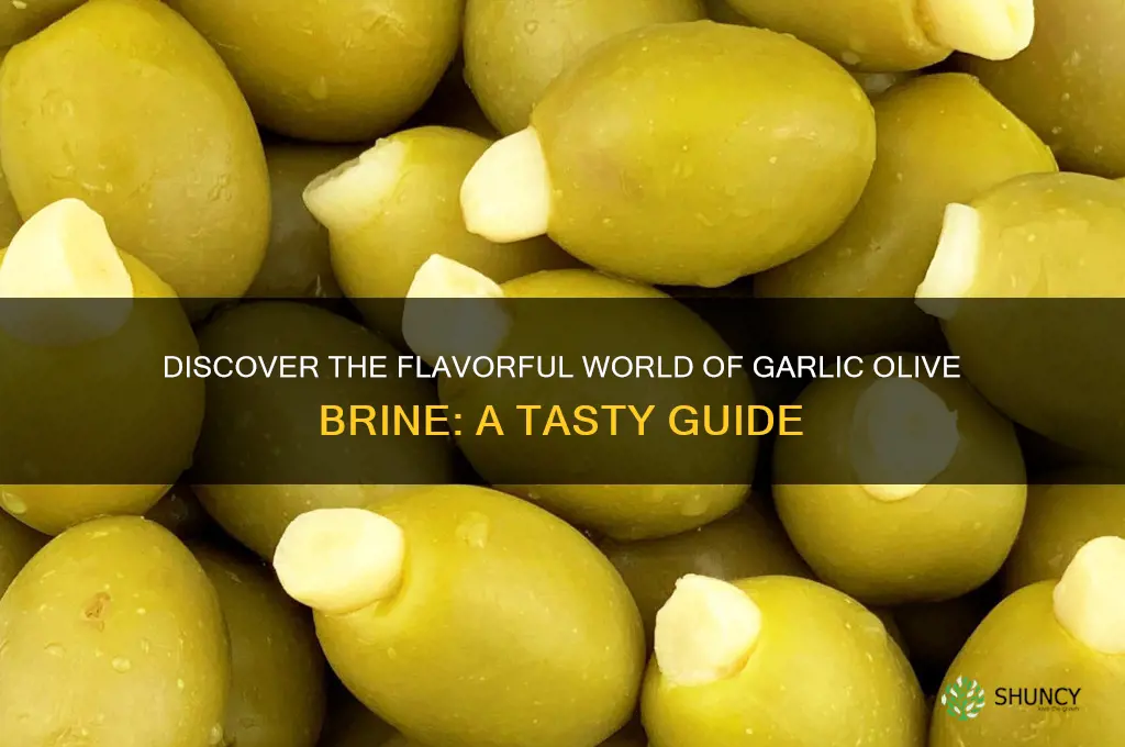 Discover The Flavorful World Of Garlic Olive Brine: A Tasty Guide | ShunCy