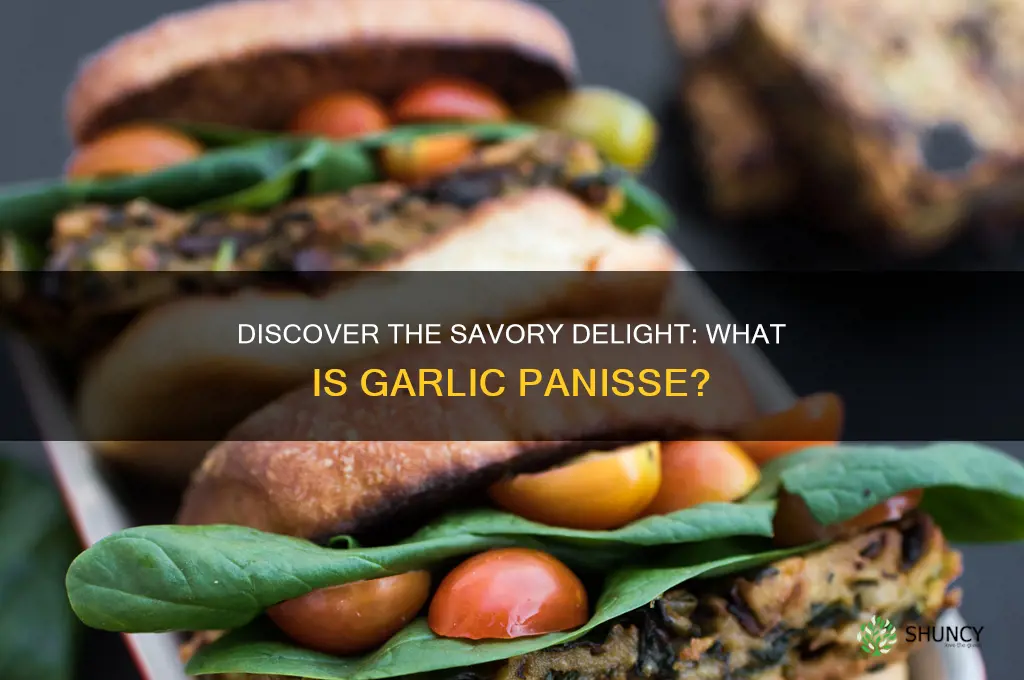 Discover The Savory Delight: What Is Garlic Panisse? | ShunCy
